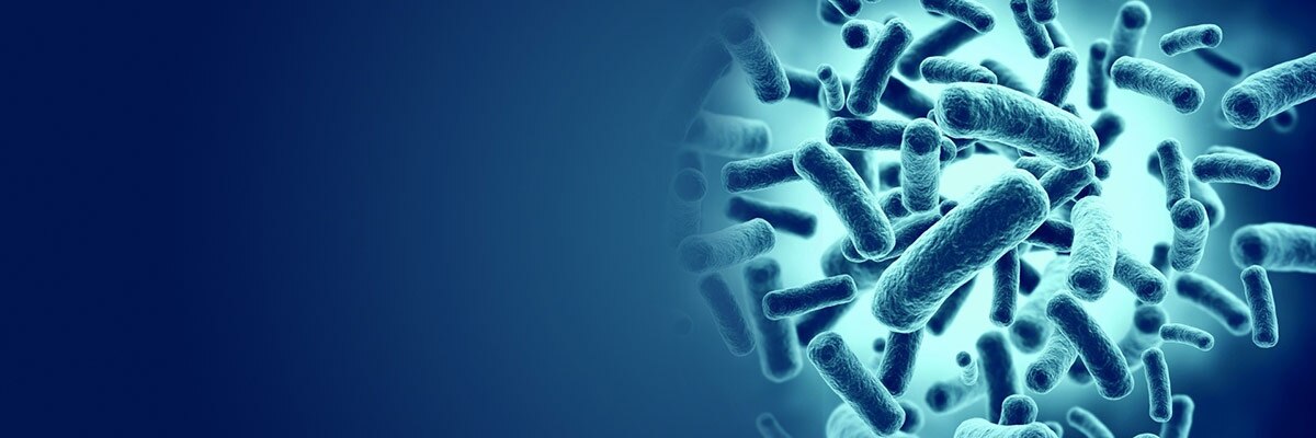 High Level Disinfection of Ultrasound Probes | GE HealthCare (Australia ...